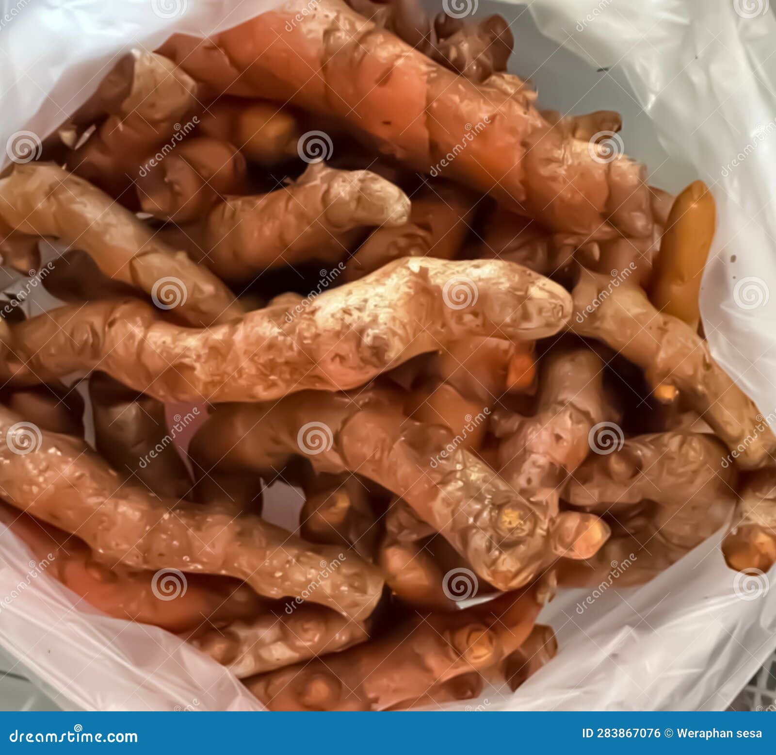 Thai Herbs Turmeric on White Background Stock Photo - Image of thai ...