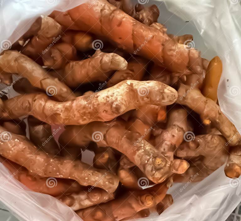 Thai Herbs Turmeric on White Background Stock Photo - Image of thai ...