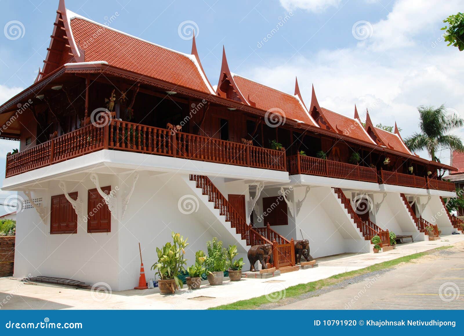 Thai House Cat, Siamese Cat Species Lay On Wooden Stock Photography ...