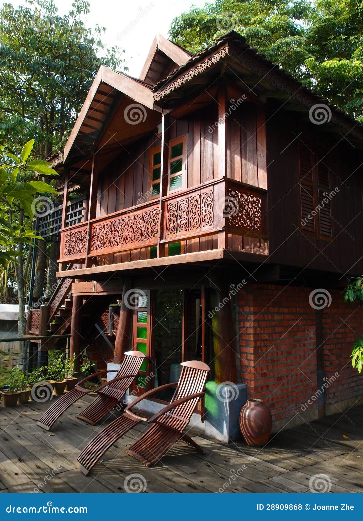 Thai House Cat, Siamese Cat Species Lay On Wooden Stock Photography ...
