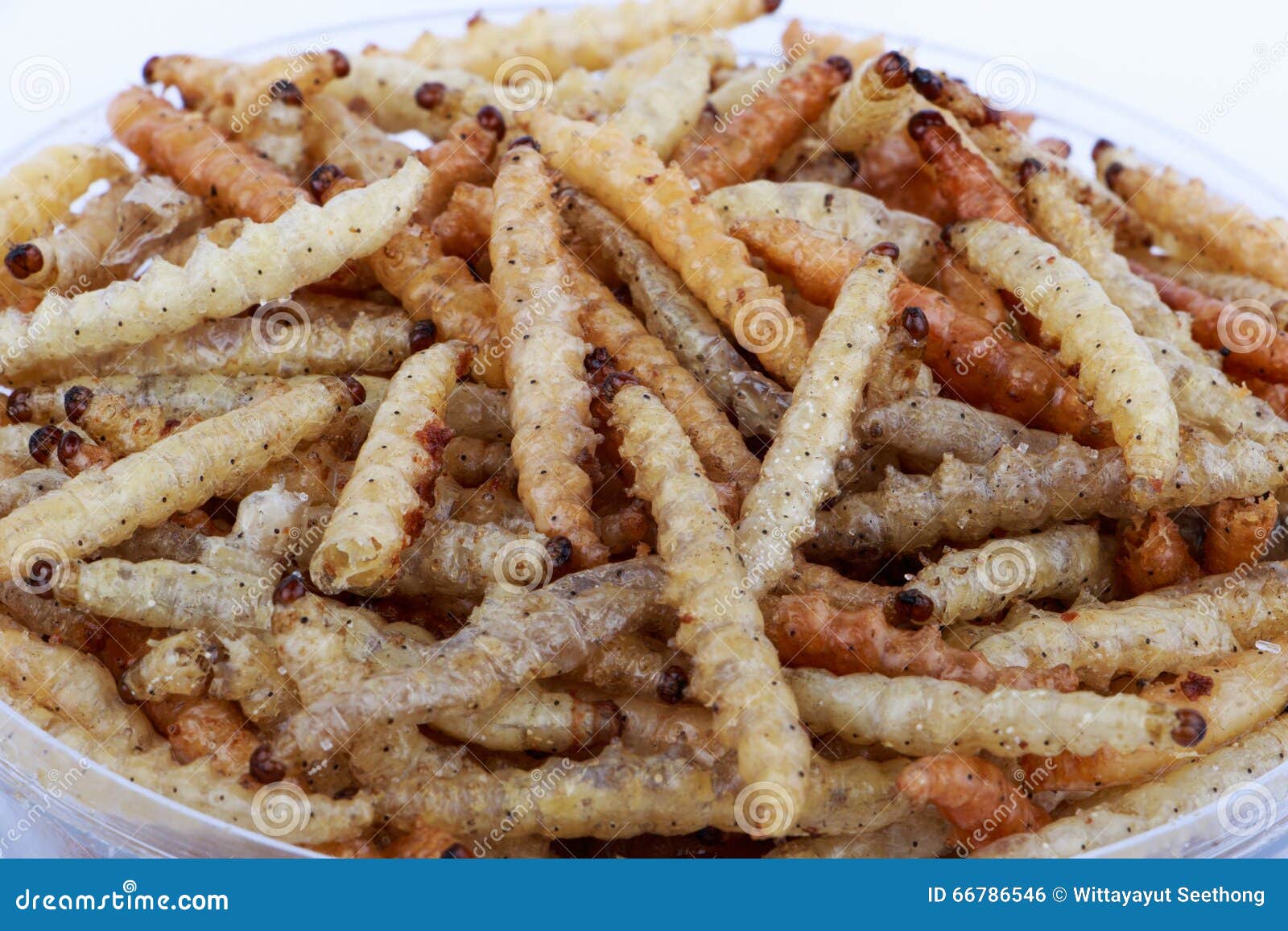 Thai Insects, Fried Insects Mealworms for Snack. Stock Photo - Image of ...