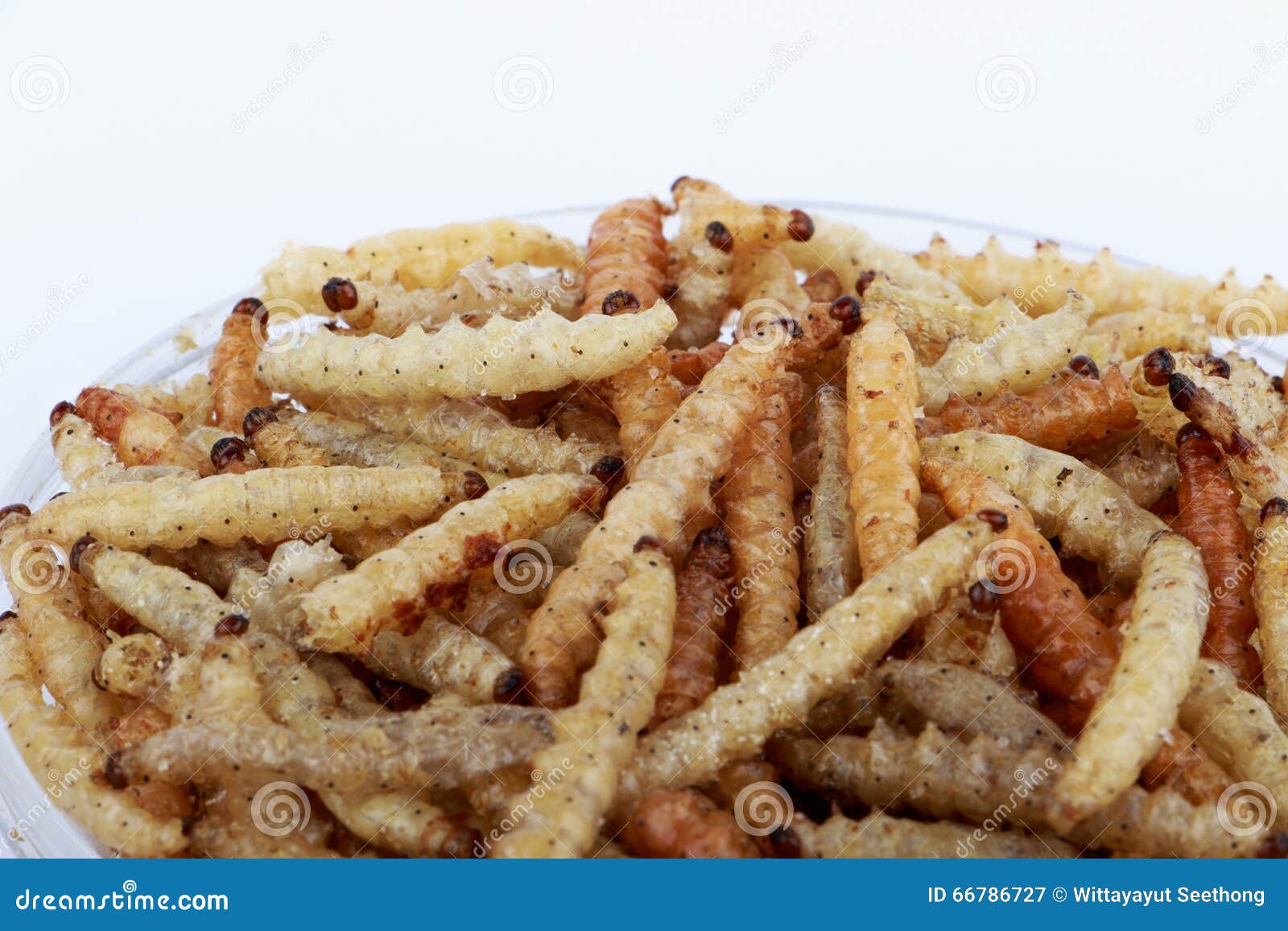 Thai Insects, Fried Insects Mealworms for Snack. Stock Image - Image of ...