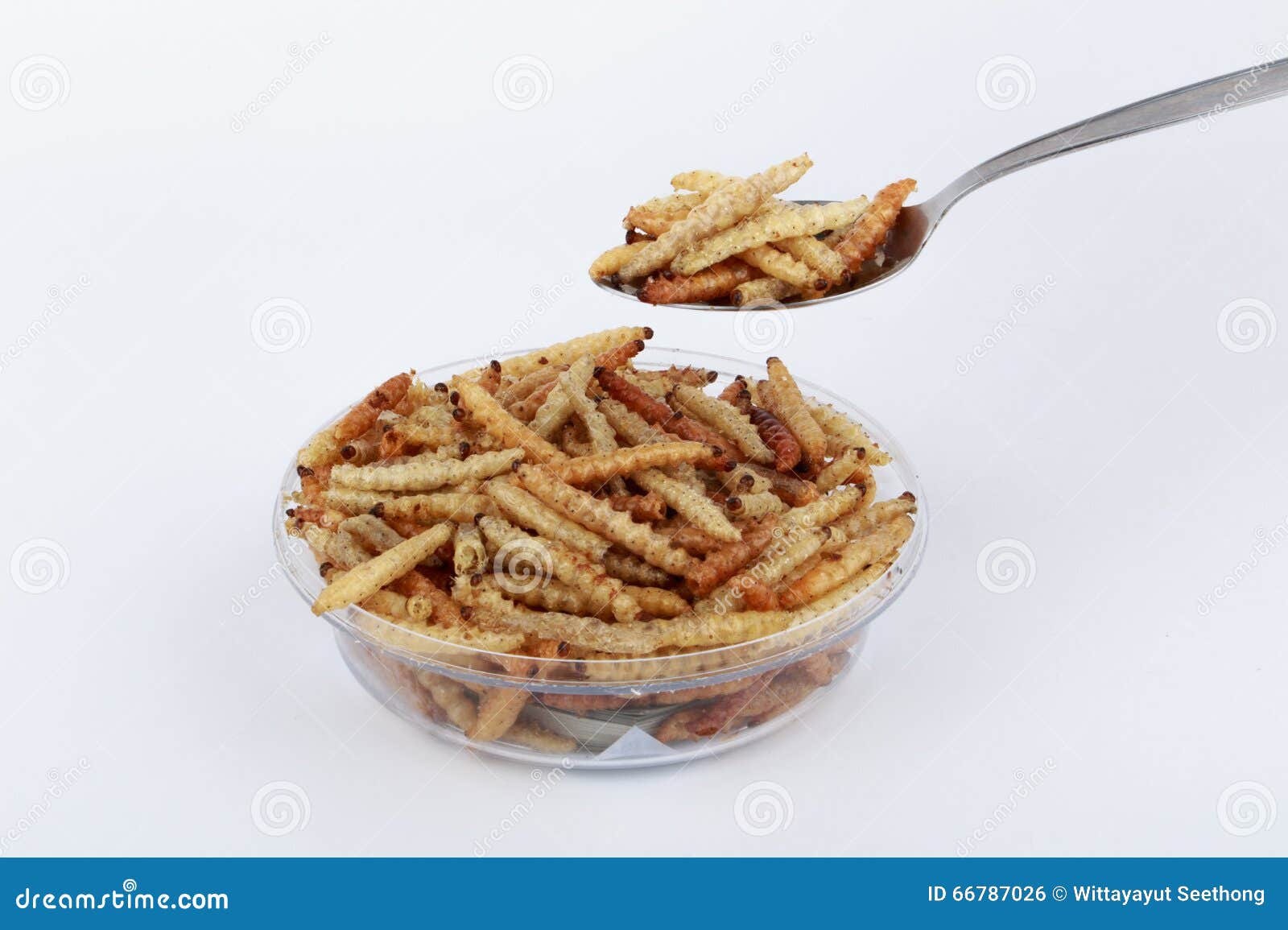 Thai Insects, Fried Insects Mealworms for Snack. Stock Photo - Image of ...