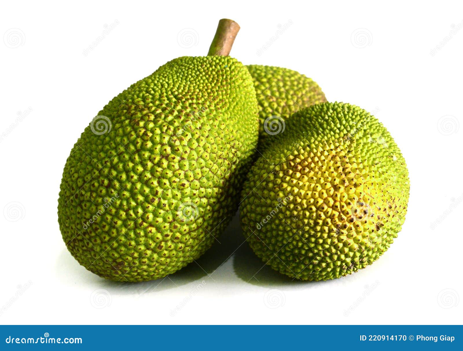 Thai jack fruta foto de archivo. Imagen de alimento - 220914170