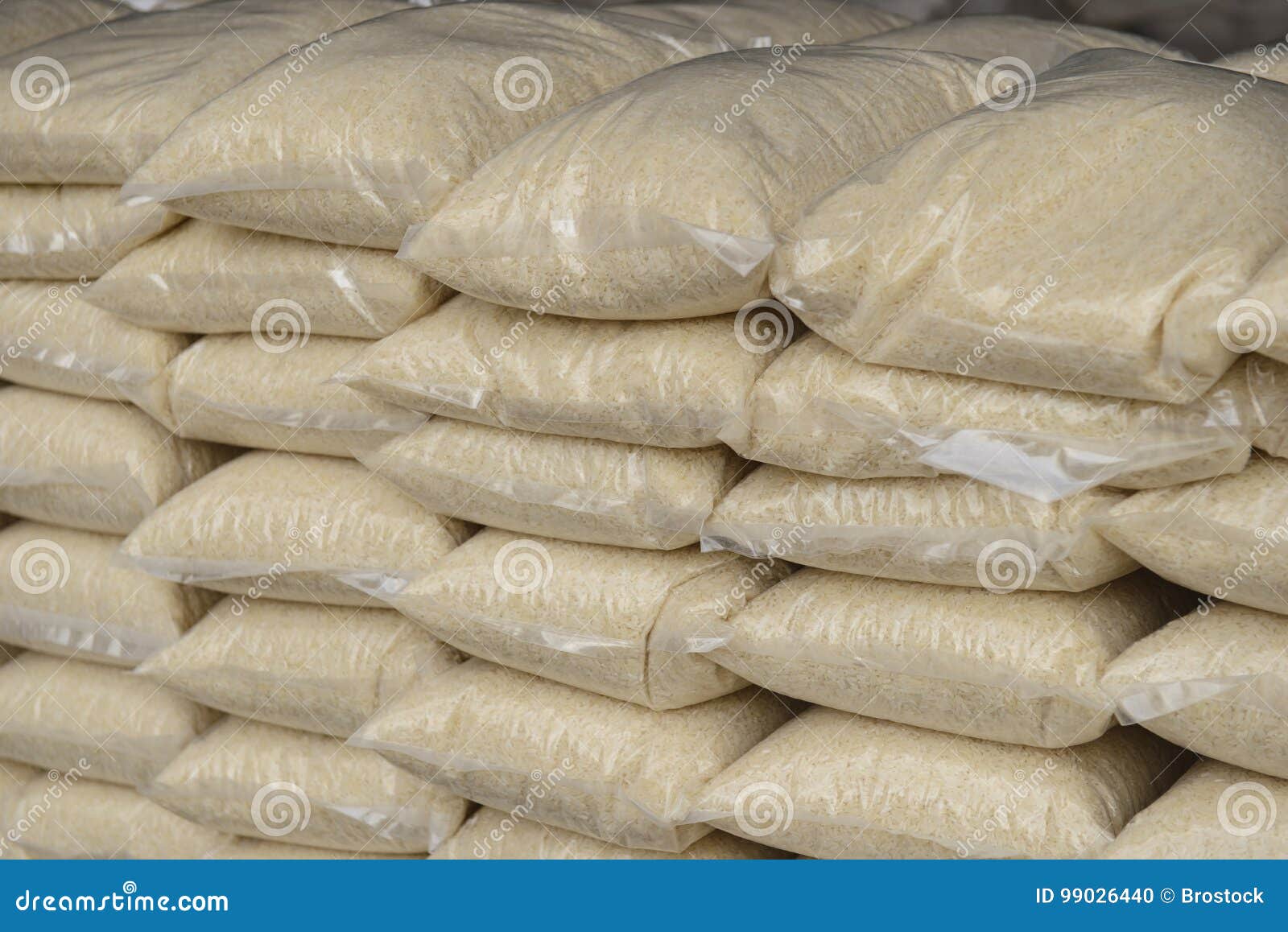 Thai Jasmine Rice Paddy Packing in Plastic Bag Stock Photo - Image of ...