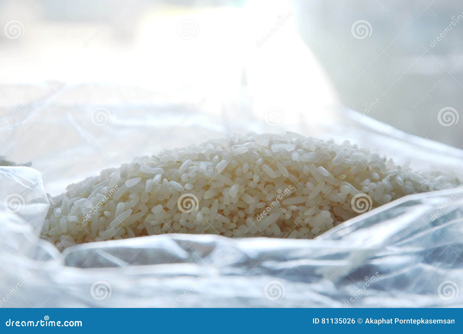 Thai Jasmine Rice Paddy in Plastic Bag Stock Photo - Image of crop ...