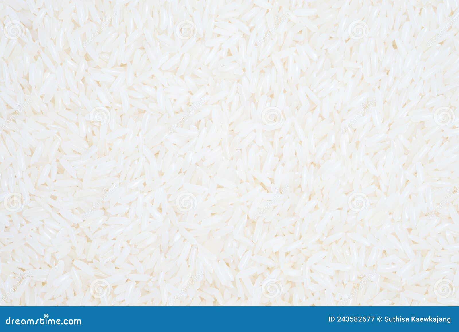 Thai Jasmine Rice on White Background Stock Image - Image of health ...