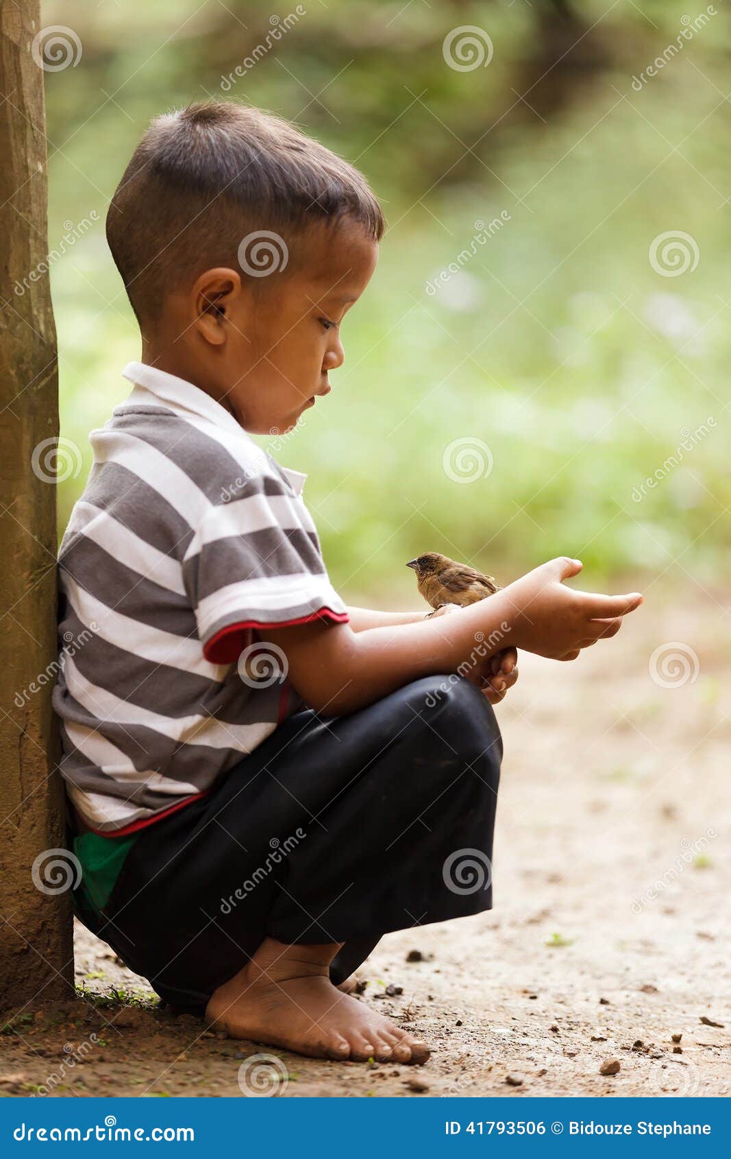 753 Little Sad Bird Stock Photos - Free & Royalty-Free Stock Photos ...