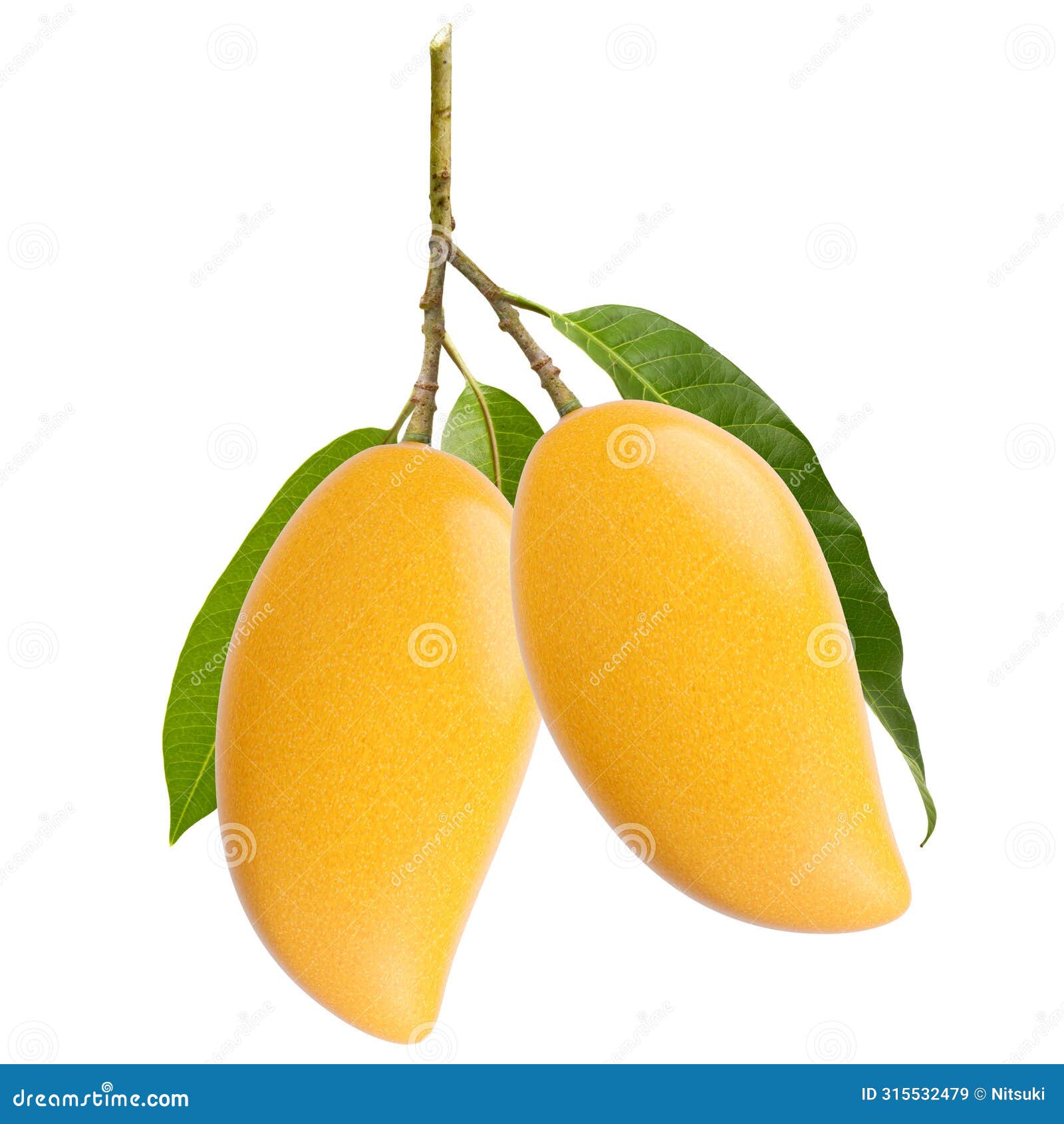 Thai Mango Namdokmai with Stem and Leaf Isolated White Background Stock ...