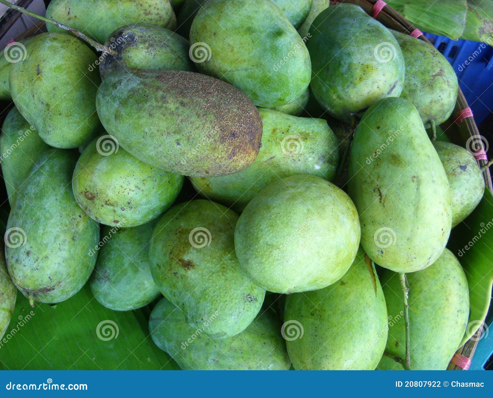 Thai Mangoes stock photo. Image of mangoes, succulent - 20807922