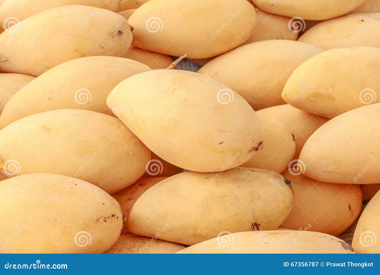 Thai Mangoes, Fruit Thailand Stock Image - Image of healthy, dieting ...