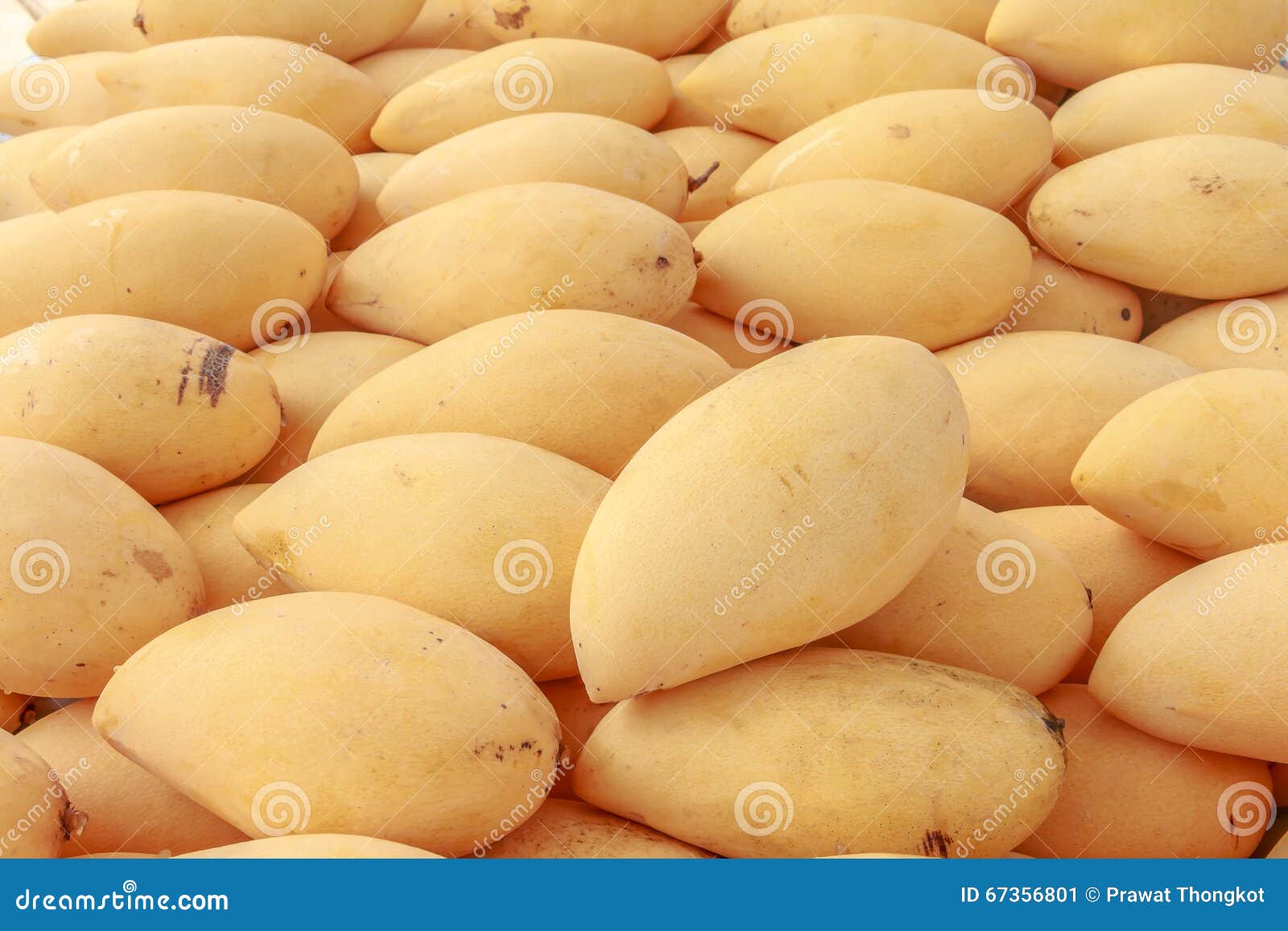 Thai Mangoes, Fruit Thailand Stock Image - Image of closeup, organic ...