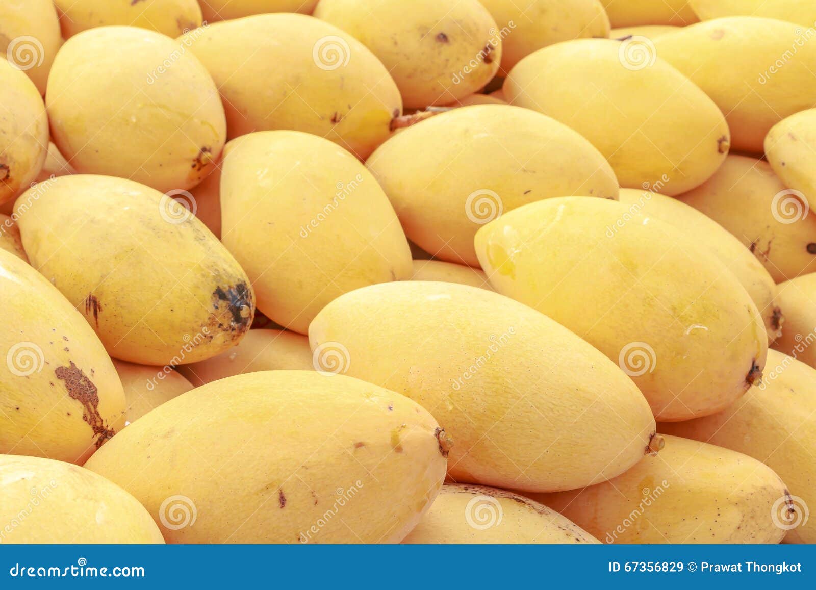 Thai Mangoes, Fruit Thailand Stock Image - Image of diet, breakfast ...
