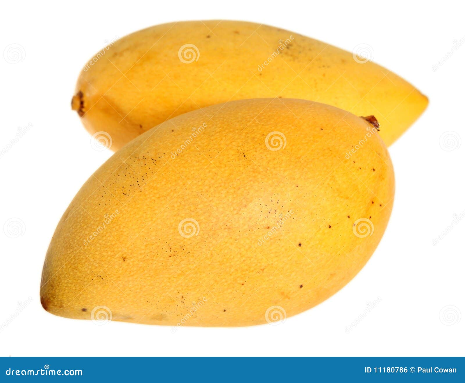 Thai Mangoes Over White Stock Photos - Free & Royalty-Free Stock Photos ...