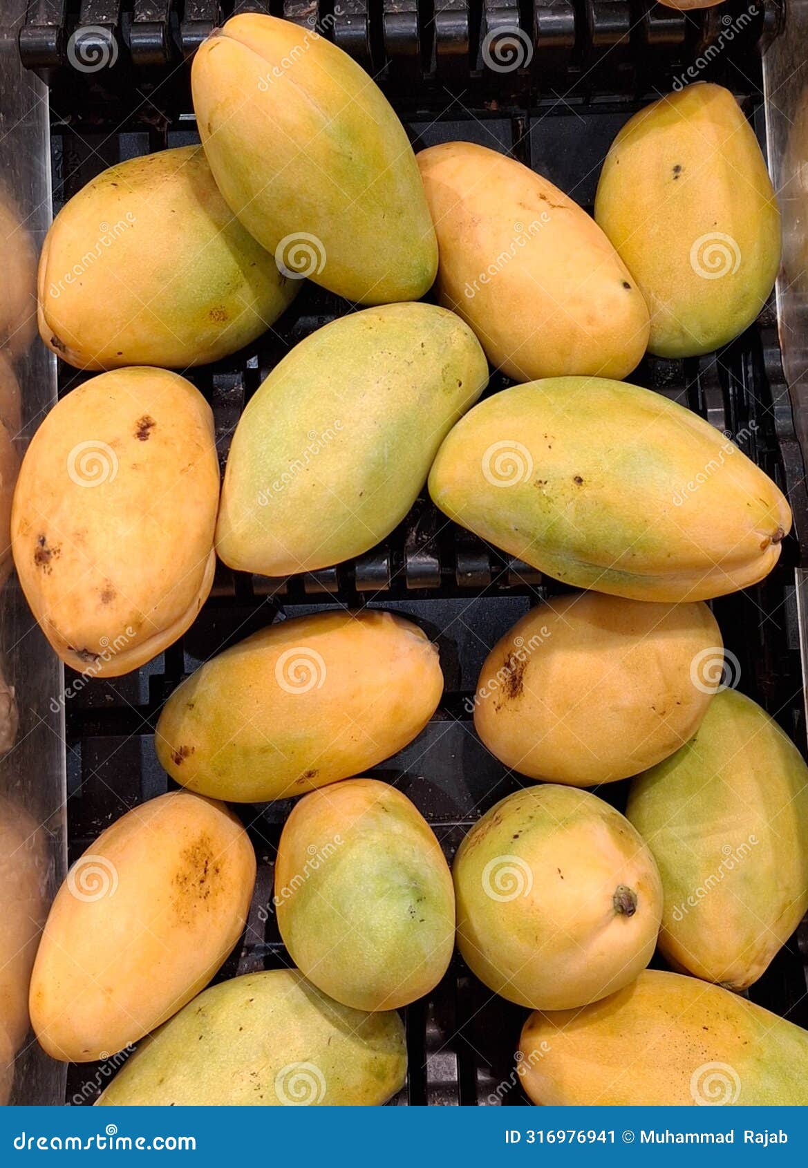 Thai Mangoes, Fruit Thailand Royalty-Free Stock Photography ...