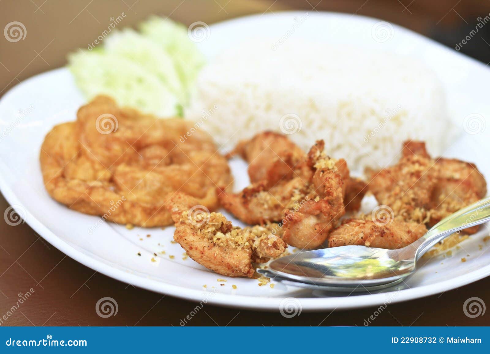 Thai mat arkivfoto. Bild av nytt, äta, italienare, green - 22908732