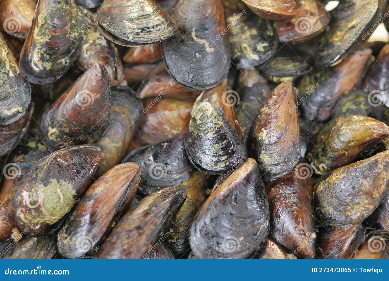 Thai Mussels in Metal on Table Top View Stock Image - Image of fish ...