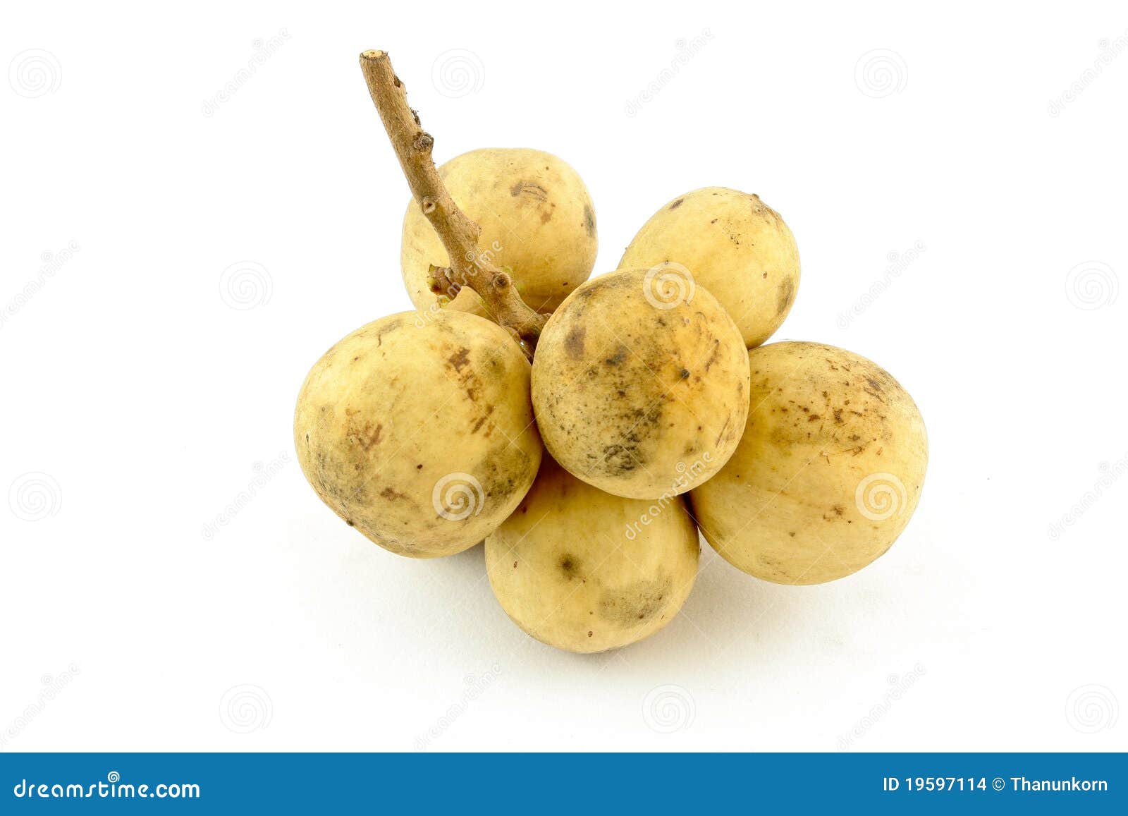 Thai Native Fruit (Long Gong) Stock Photo - Image of tasty, long: 19597114