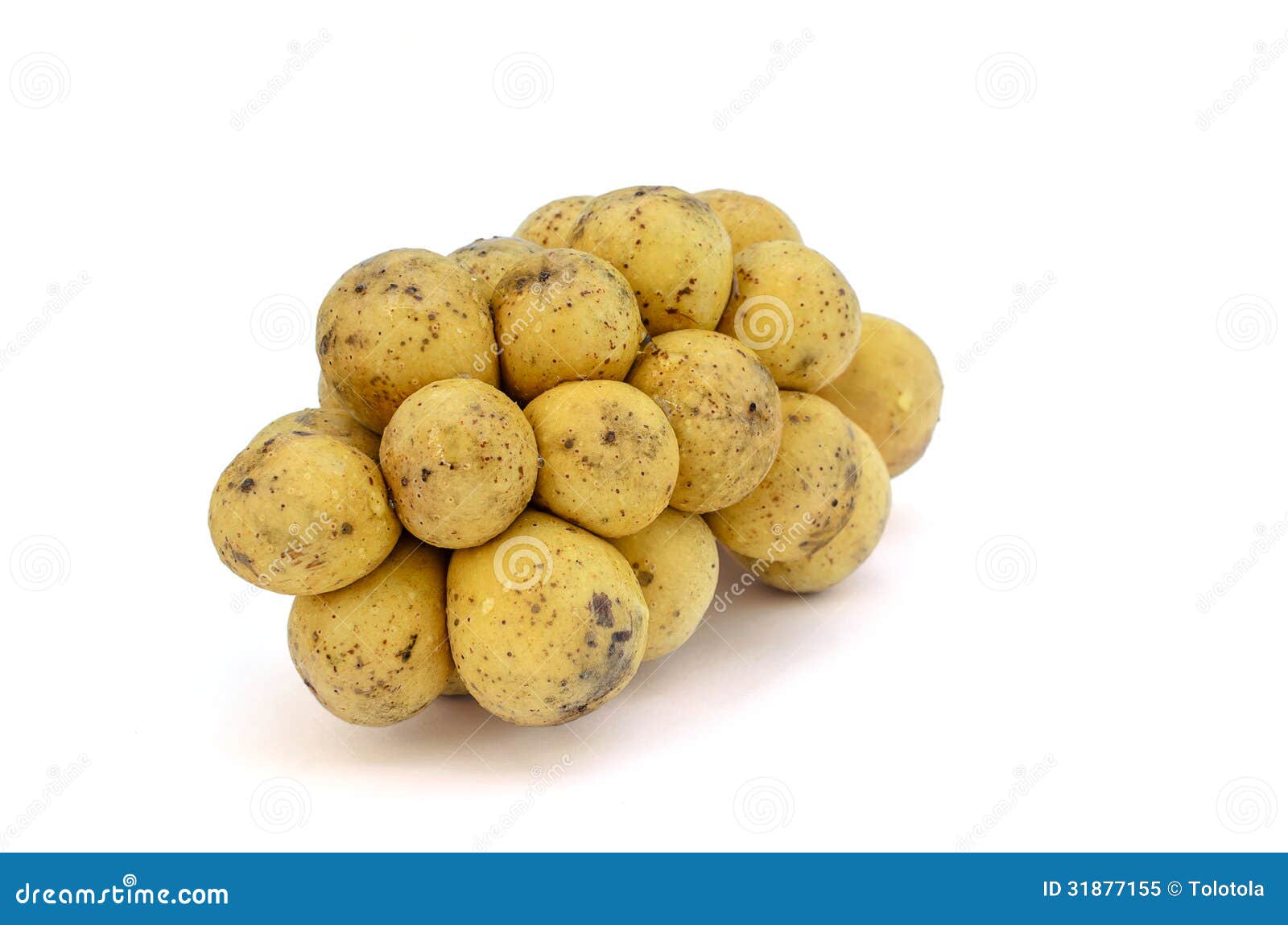 Thai Native Fruit (Long Gong) Stock Image - Image of yellow, tropical ...