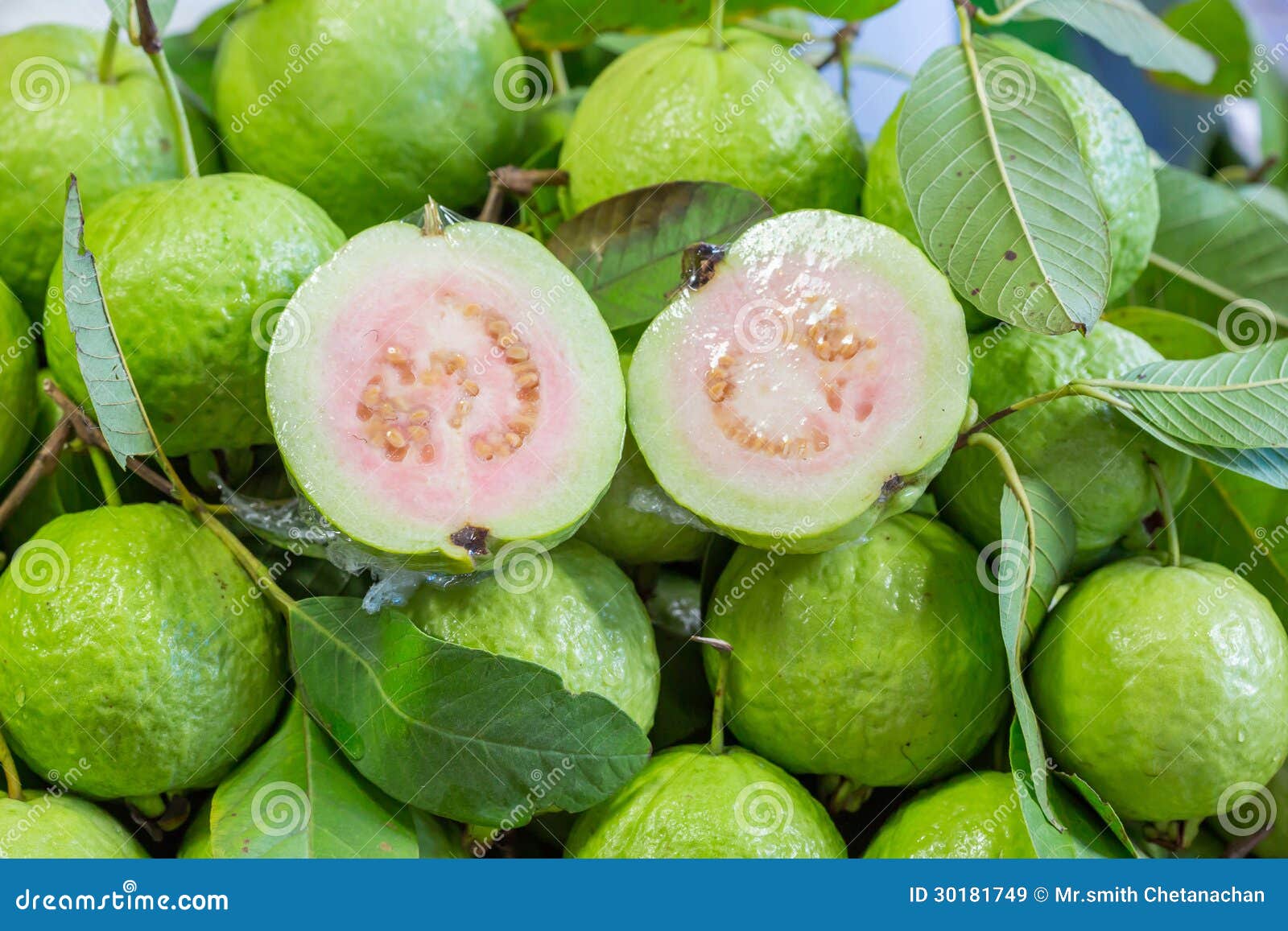 Thai guava stock image. Image of guava, agriculture, leaf - 30181749
