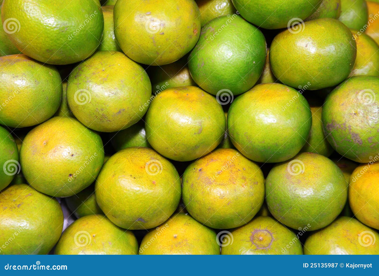 Thai Native Orange or Tangerines in the Market Stock Image - Image of ...
