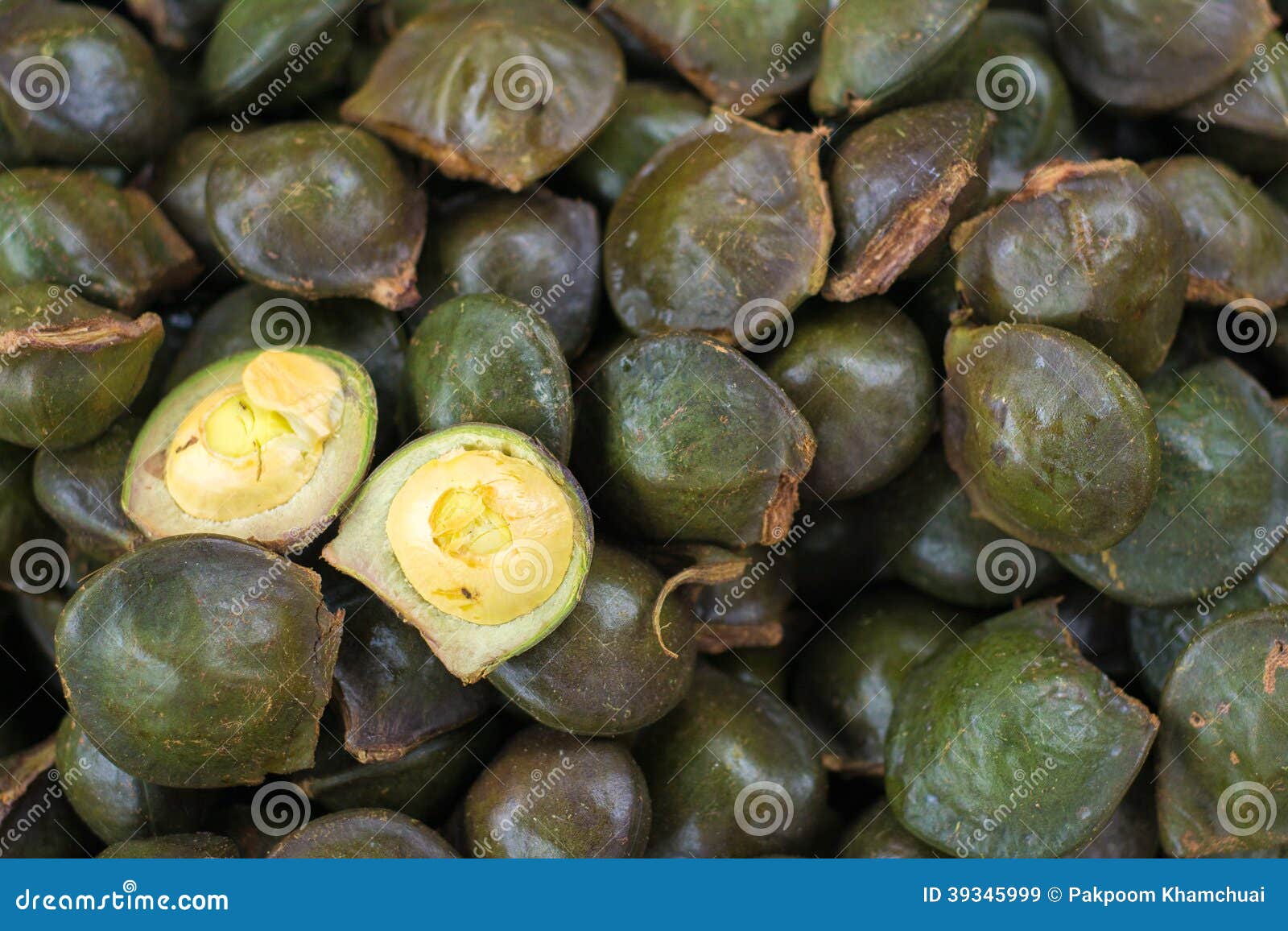 Thai nut stock image. Image of jicamas, vegetarian, nutrition - 39345999