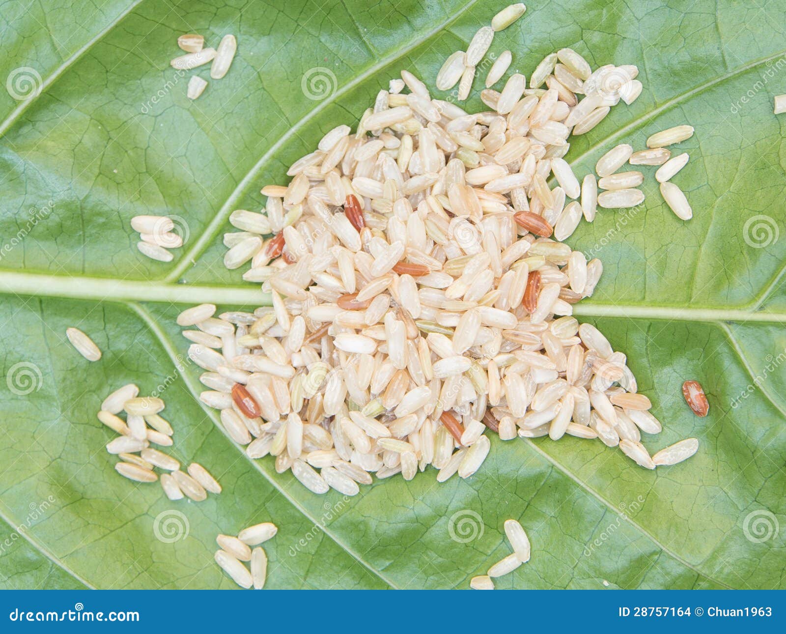 Thai organic rice stock photo. Image of morinda, flat - 28757164