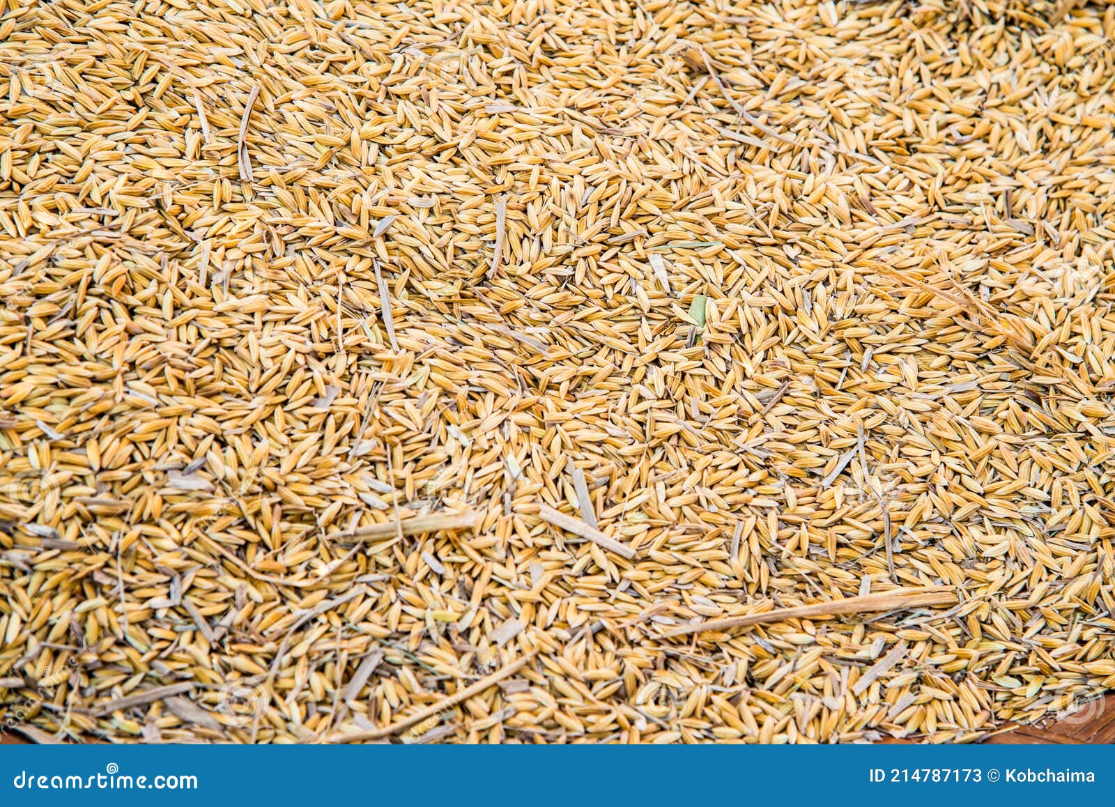 Thai paddy rice in basket stock image. Image of meal - 214787173