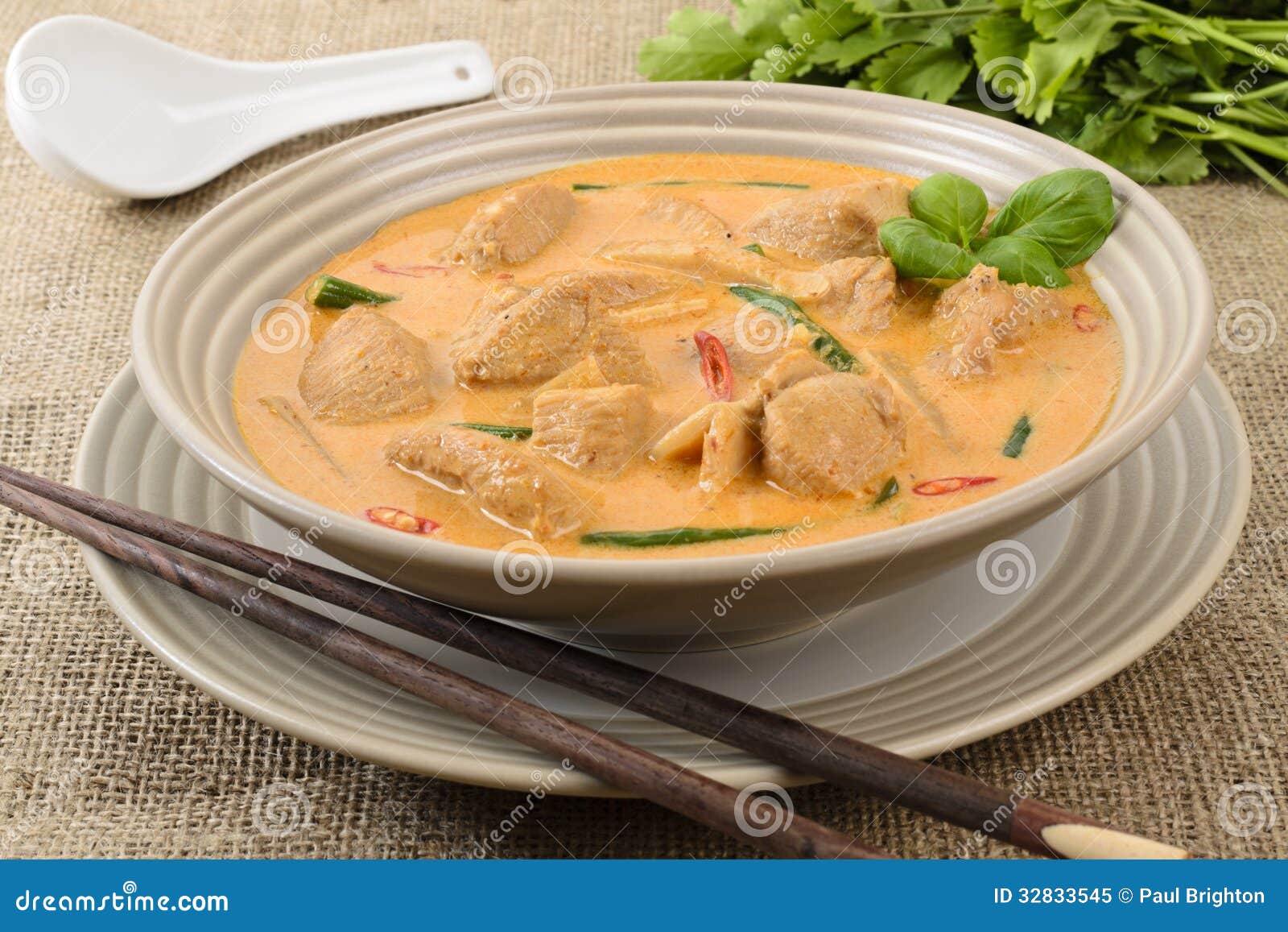 Thai Red Chicken Curry stock image. Image of coriander - 32833545