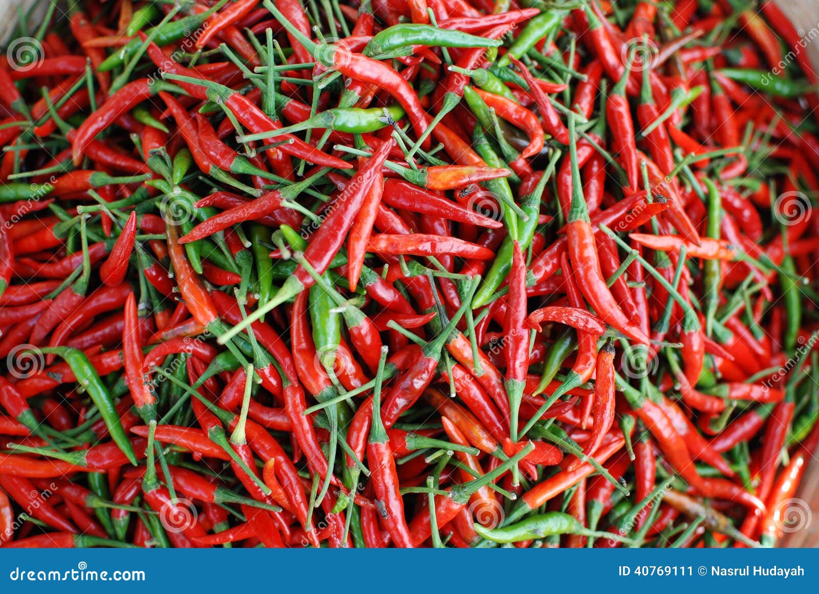 Thai red chilli stock image. Image of chilli, thai, agriculture - 40769111