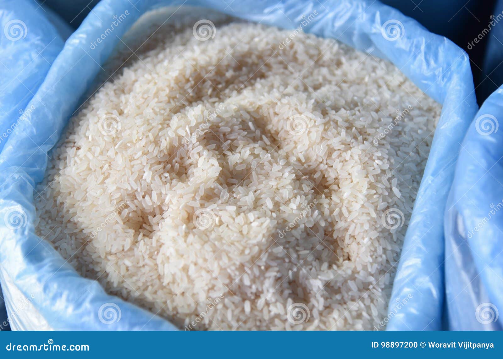 Thai rice stock photo. Image of grain, grained, corn - 98897200