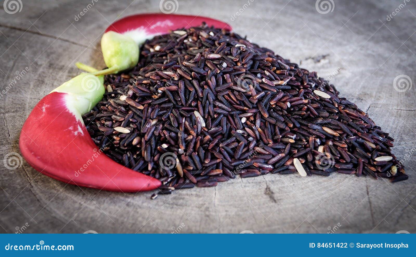 Thai rice berry stock photo. Image of berry, commodity - 84651422