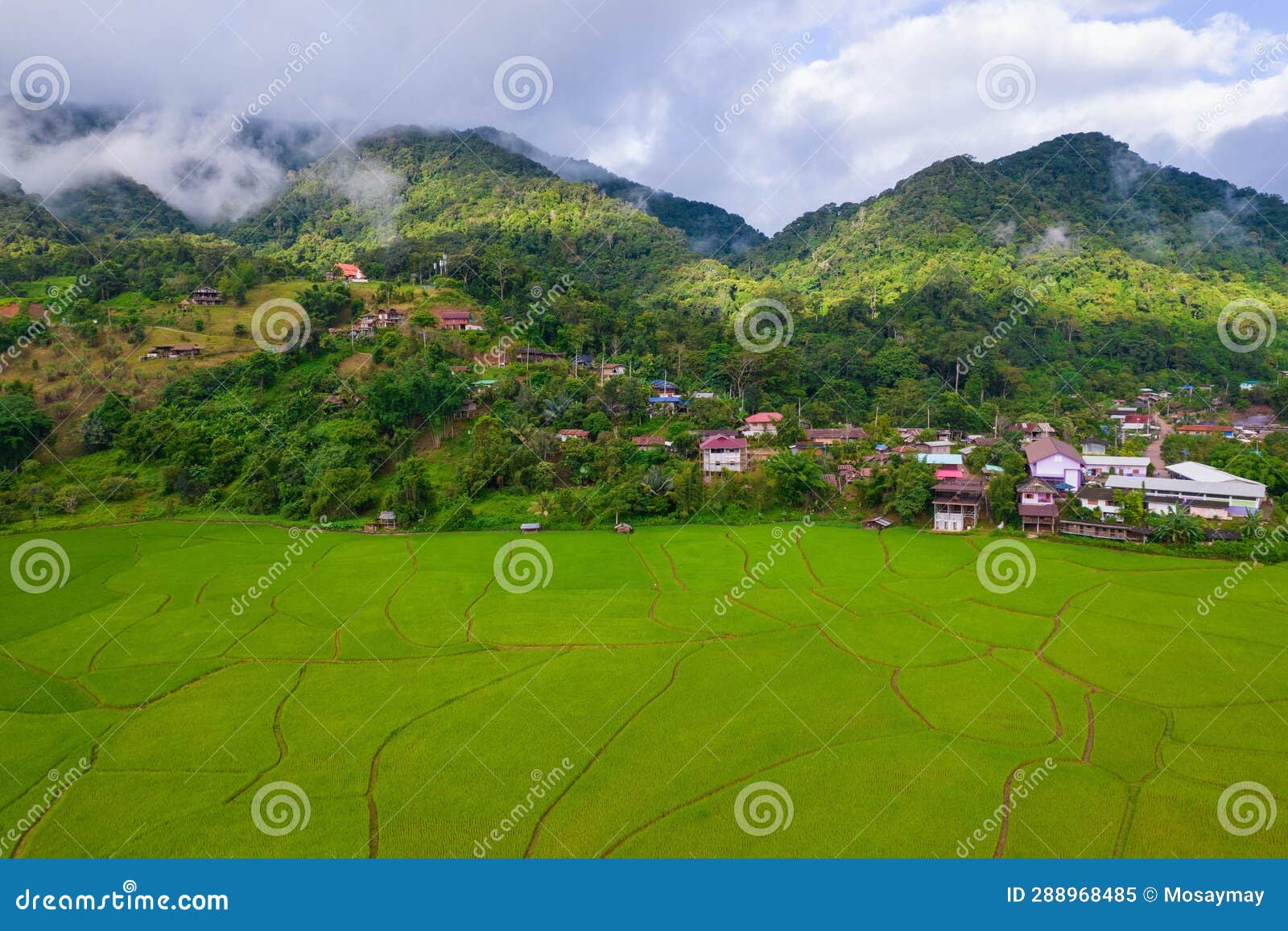 Thai Rice Fields from Above in Thailand Stock Image - Image of field ...