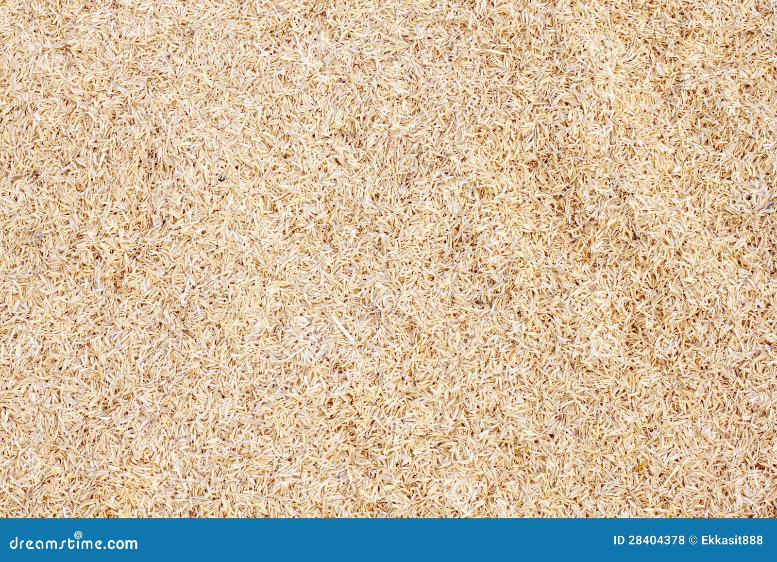 Thai Rice Husk stock photo. Image of close, nature, full - 28404378