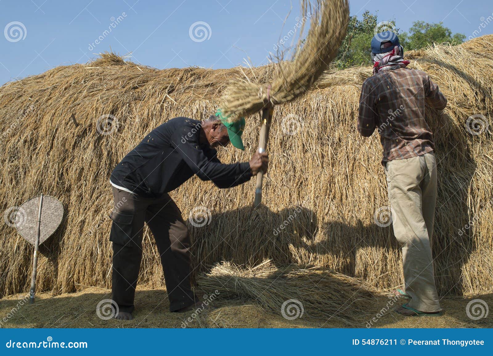Rice Tresher Stock Photos - Free & Royalty-Free Stock Photos from ...