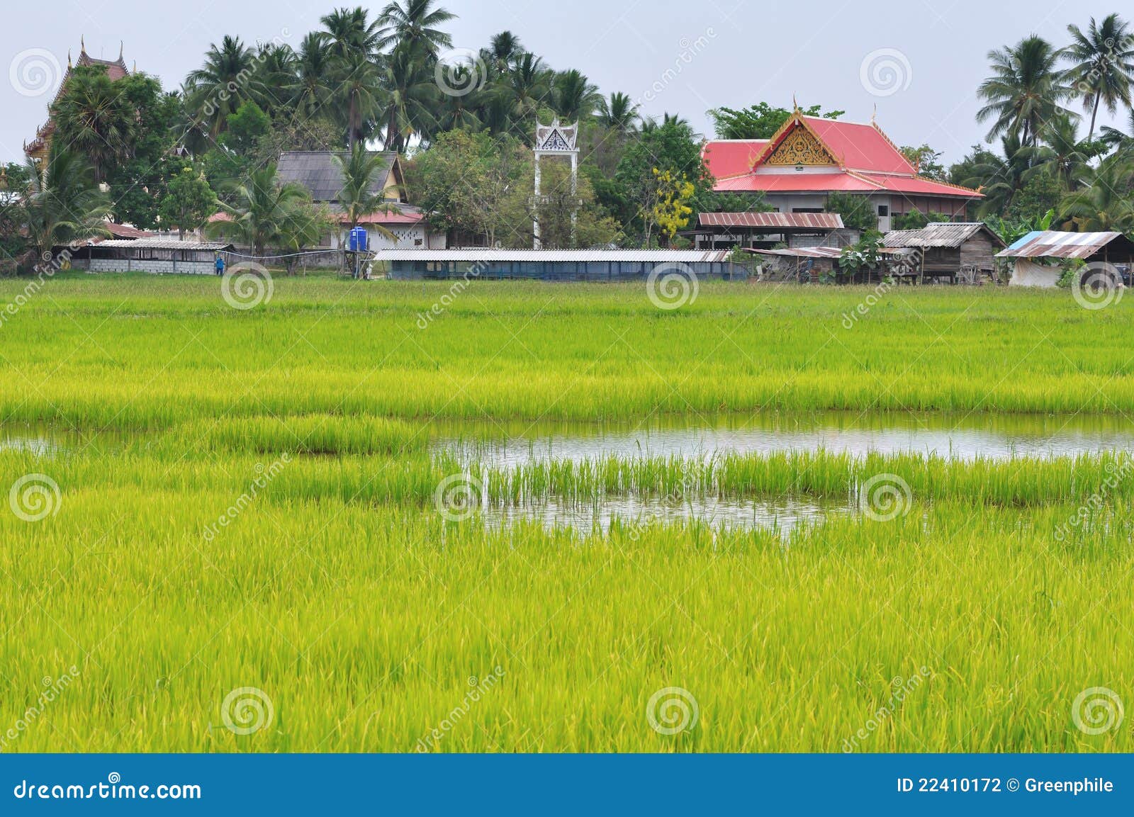Thai rural lifestyle stock photo. Image of lifestyles - 22410172