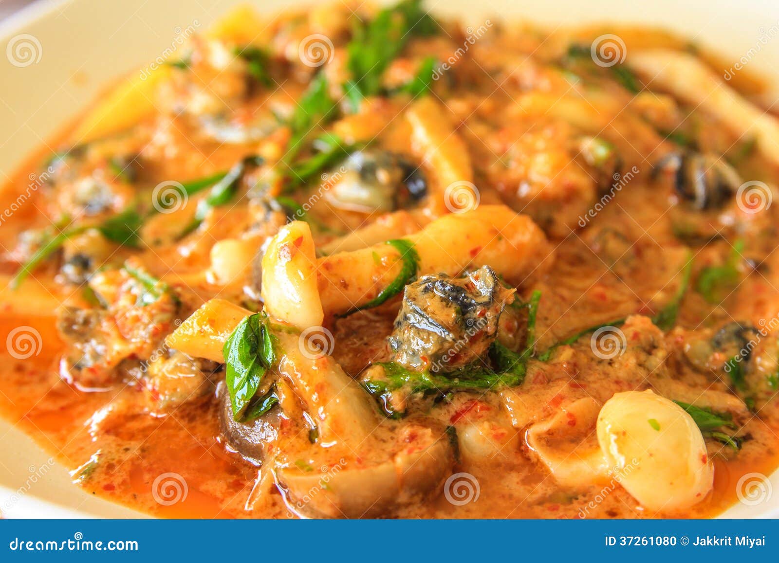 Thai s style curry stock photo. Image of dinner, meal - 37261080