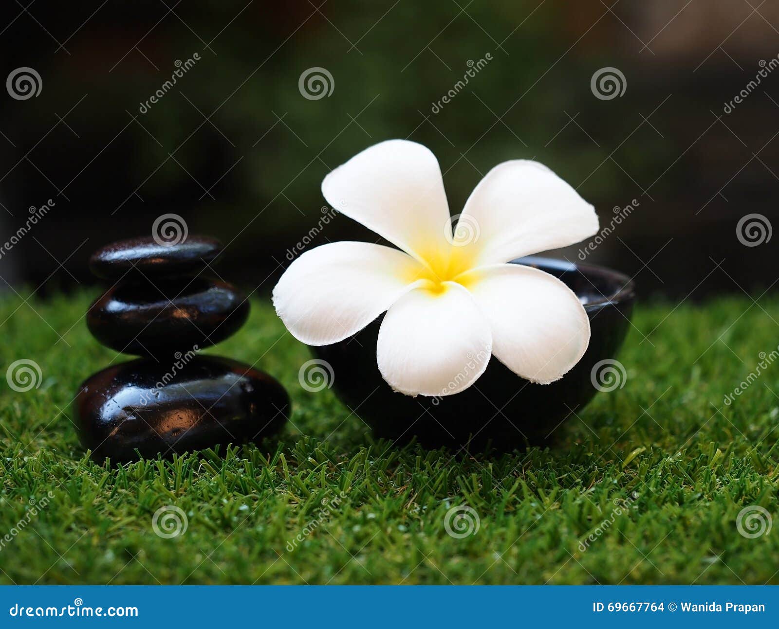 Thai Spa Rock and Flower Spa, Thailand Stock Photo - Image of ...