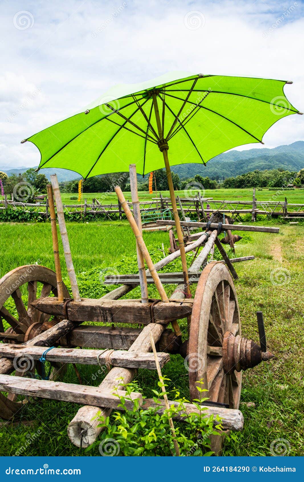 Thai Style Cart with Rice Field Stock Photo - Image of asia, beautiful ...