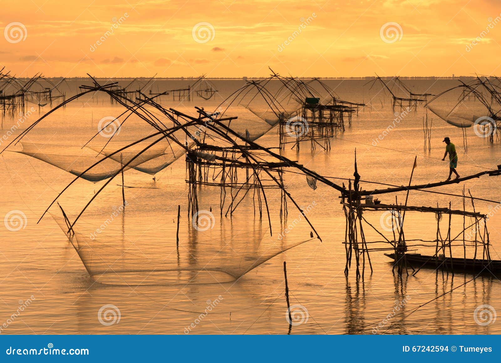 Thai style fishing trap stock photo. Image of lake, dawn - 67242594