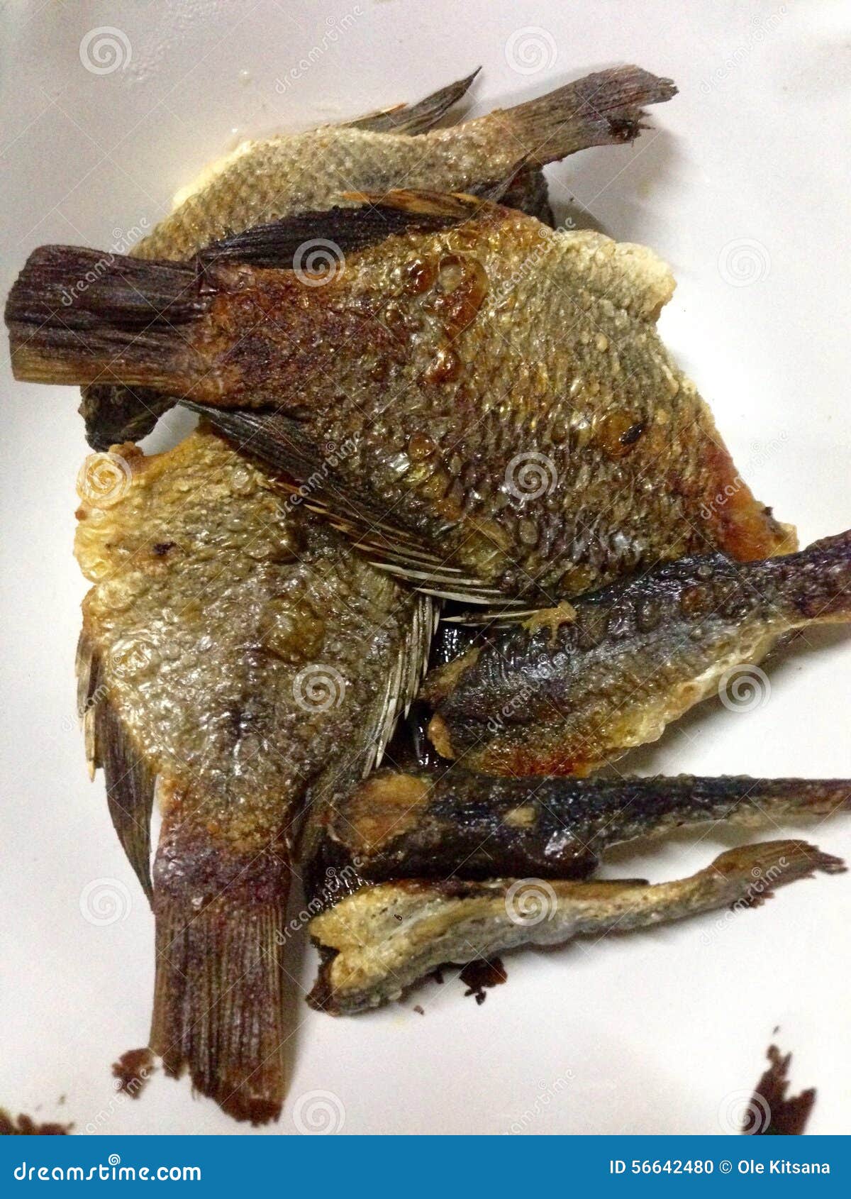 Thai style food stock photo. Image of salt, fish, famous - 56642480