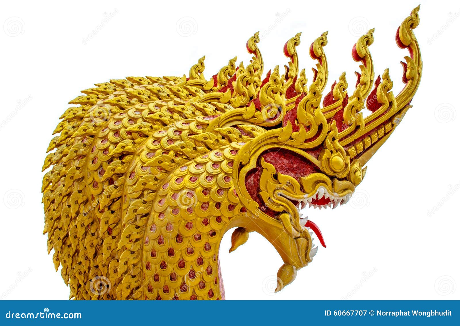 Style Naga Scales Close-up. Colourful Naga Skin Pattern Texture ...