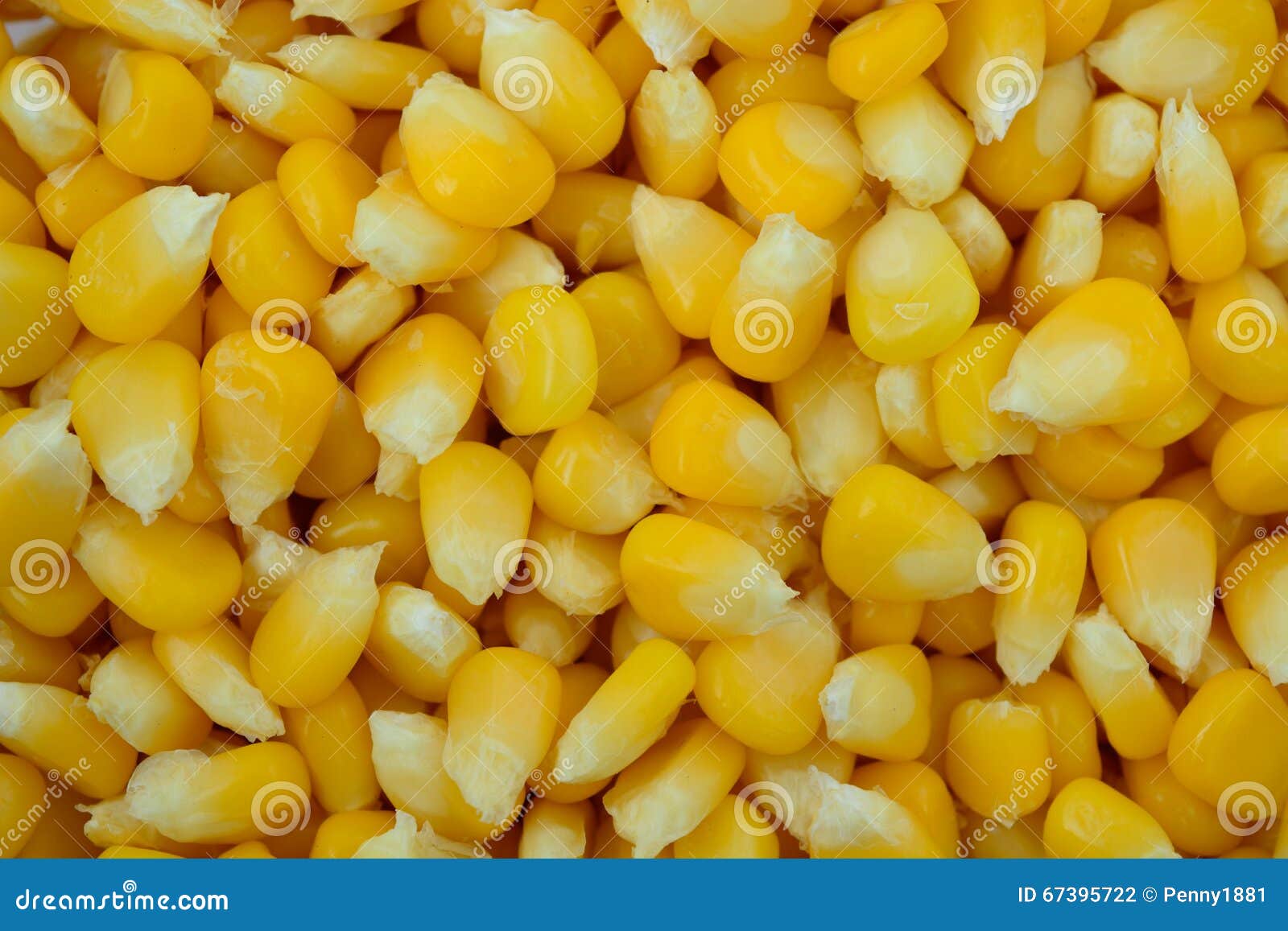 Cornsweet Stock Photos - Free & Royalty-Free Stock Photos from Dreamstime