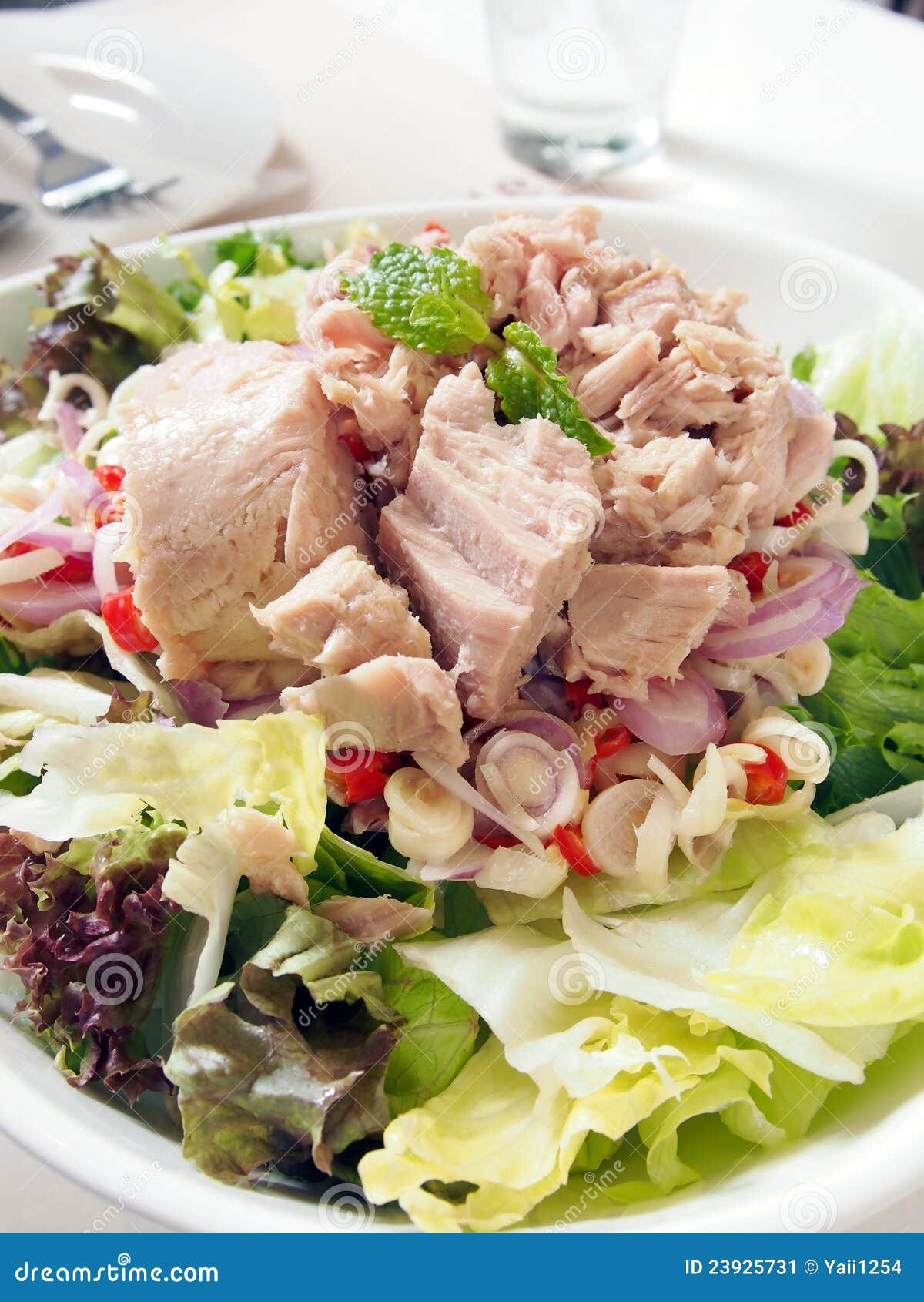 Thai Tuna salad stock image. Image of branch, pepper - 23925731