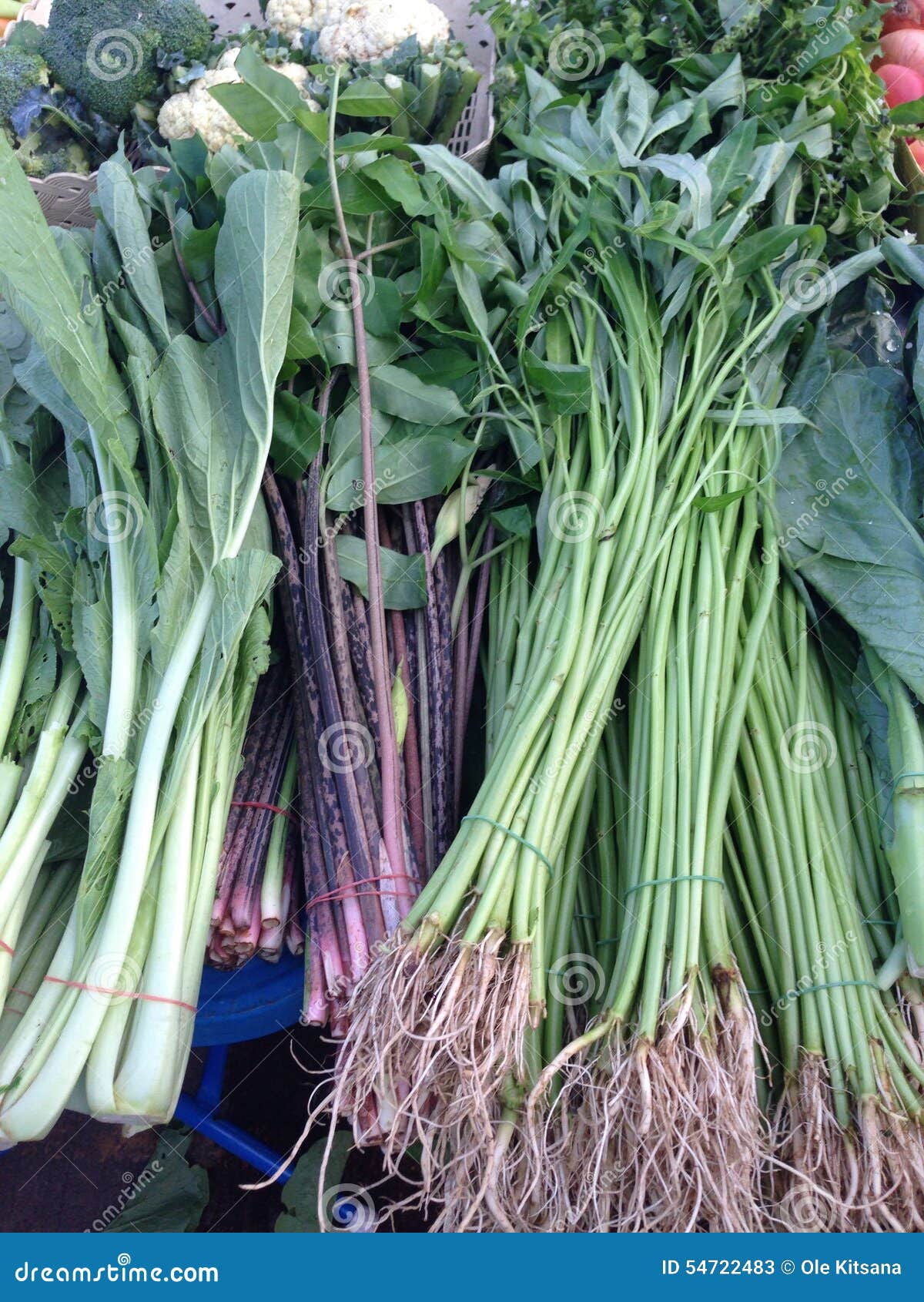 Thai vegetable stock image. Image of thai, herb, spinach - 54722483
