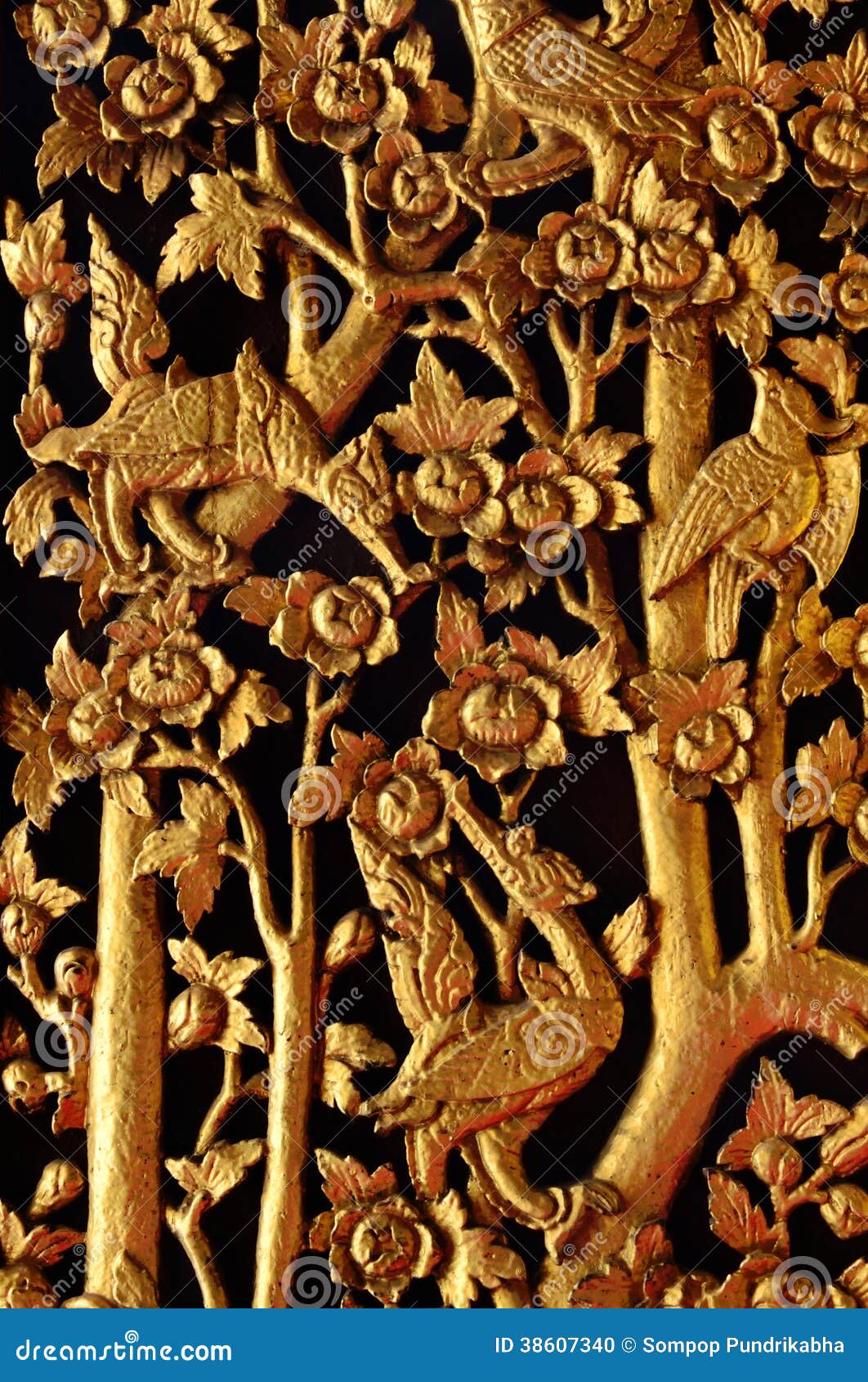 Himmaphan Bird Stock Photos - Free & Royalty-Free Stock Photos from ...