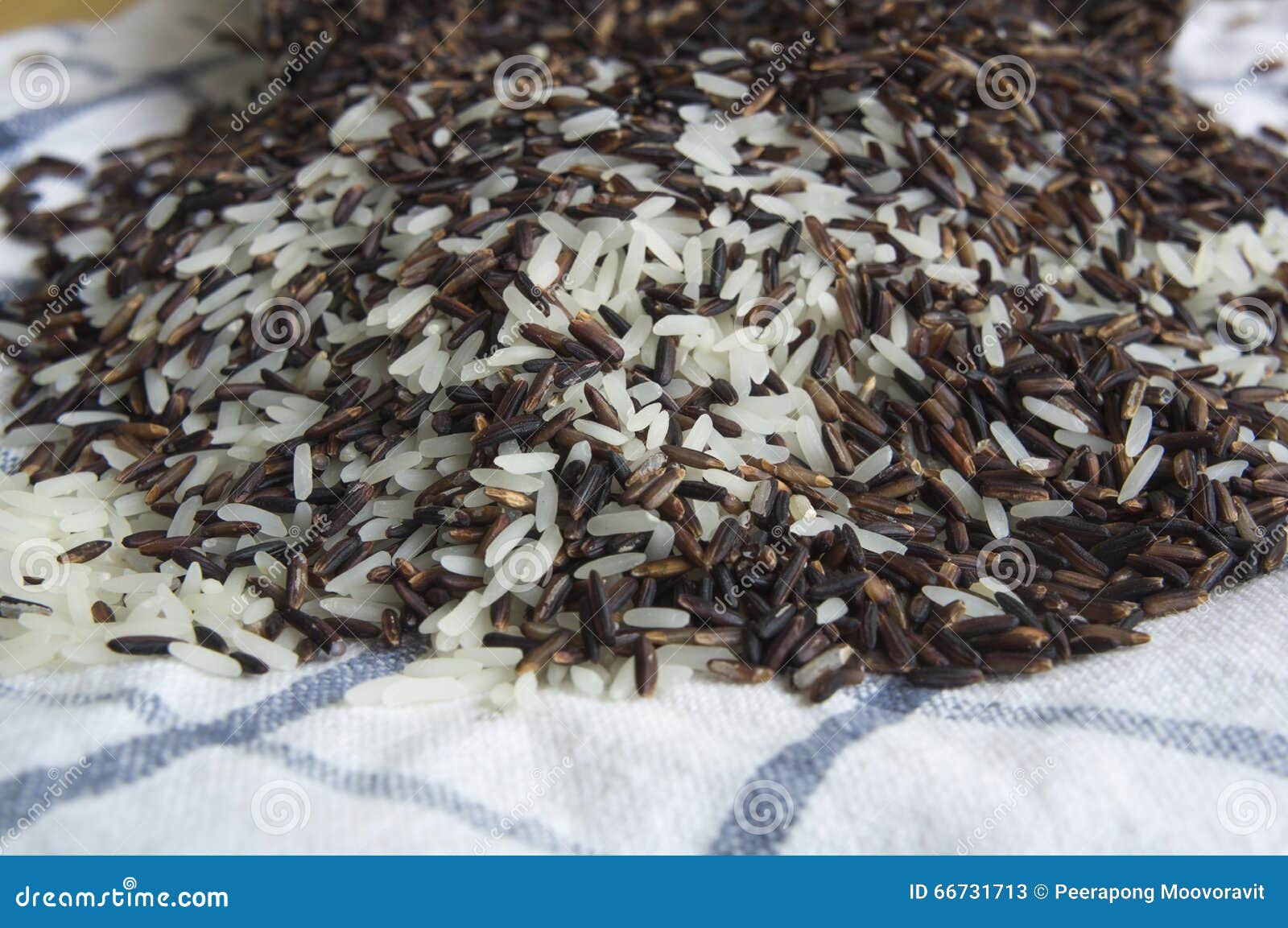 Thai Whole Grain White Rice on Cloth Stock Image - Image of grain, thai ...