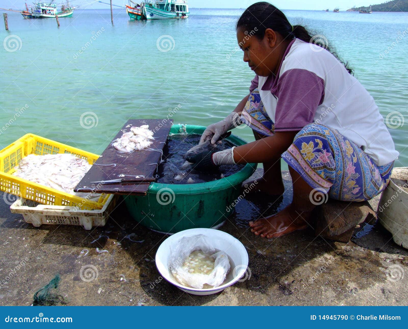 Thai Woman Preparing Seafood, Thailand Editorial Image - Image of fish ...