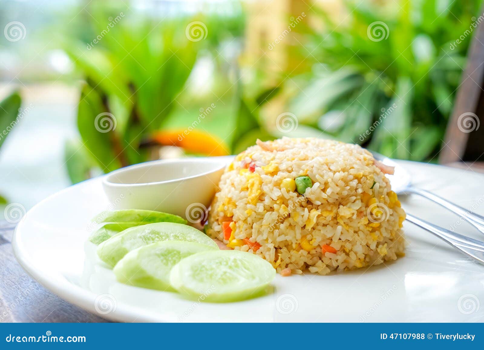 Thaifood stock photo. Image of lunch, wood, rice, delicious - 47107988