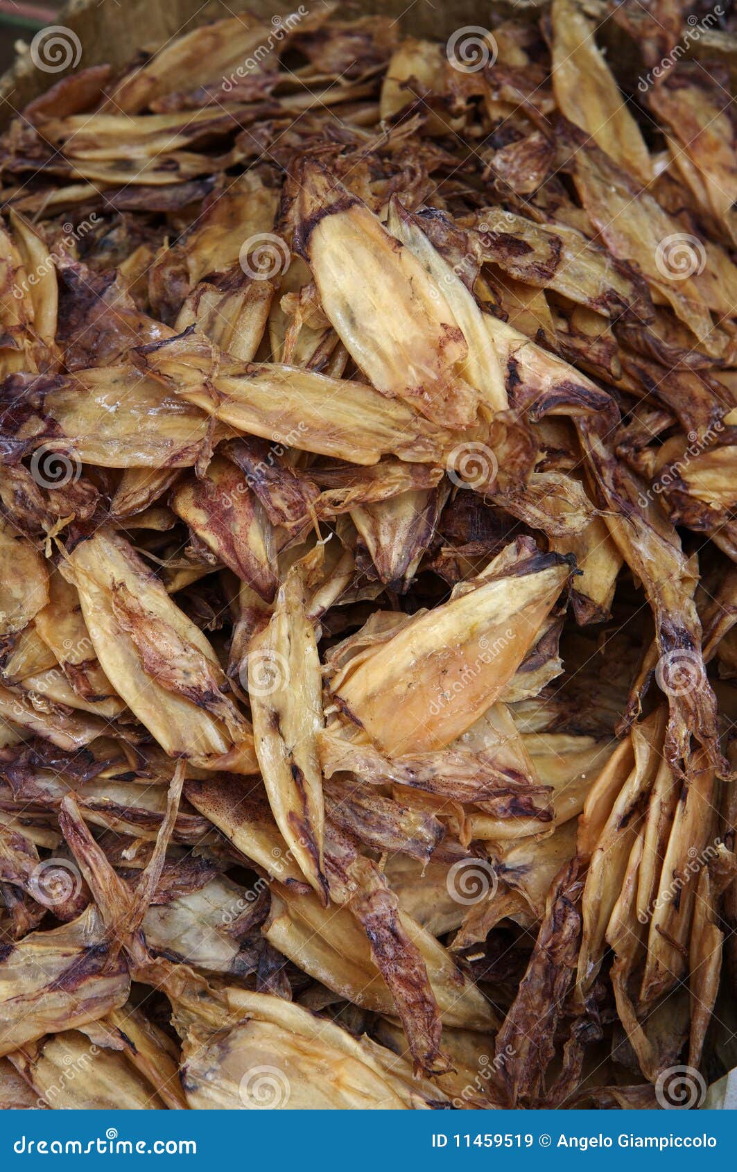 Thailand, Bangkok, Dry Cuttlefish Stock Image - Image of ocean, eating ...